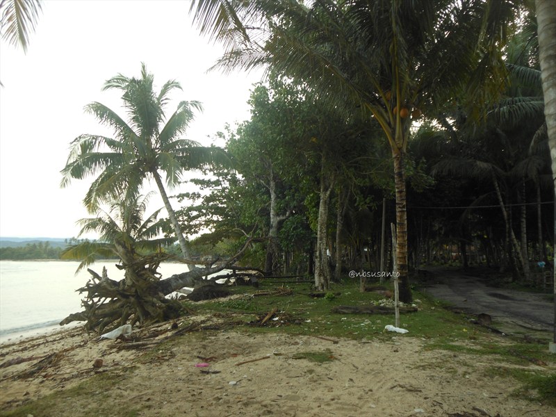 pasir di pantai tanjung setia ini berwarna putih, ya kalo di jogja ...